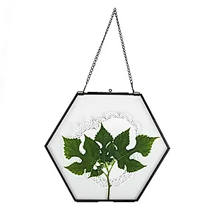 NCYP Side Length 4.7 inches Small Hanging Black Hexagon Herbarium 8inches Brass Glass Frame for Pressed Flowers, Dried Flowers, Double Glass Floating Frame Style, Glass Frame Only