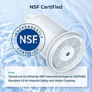 2-Pack ZR-017 Water Filter Replacement for Water Pitcher and Dispenser, 6-Stage Filter Replacement 0 TDS for Improved Tap Water Taste, Certified to Reduce Chlorine and Odor