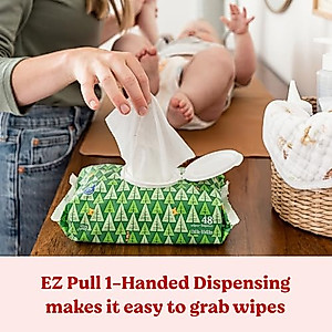 Huggies Natural Care Sensitive Baby Wipes, Unscented, Hypoallergenic, 99% Purified Water, 2 Refill Packs (352 Wipes Total)