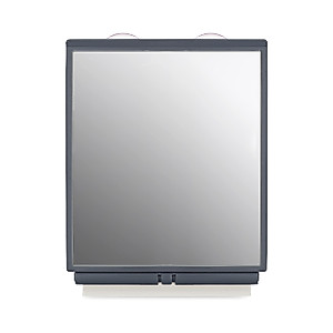 ToiletTree Products Fogless Shower Bathroom Mirror with Squeegee and Travel Bag