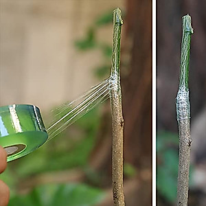 Garden Grafting Tape for Frees,Plant Tape Buddy Grafting Supplies Self-Adhesive Plant Repair Tape 6pcs