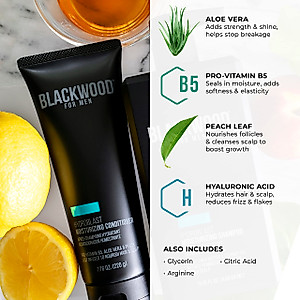 Blackwood For Men HydroBlast Moisturizing Conditioner - Deep Treatment for Damaged & Dry Hair - Natural Vegan Formula for Curly & Coarse Hair - Sulfate Free, Paraben Free, & Cruelty Free (7.76 Oz)