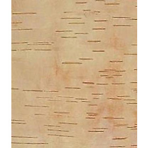 Bhojpatra , BHOJPATRA BARK Sheets , Betula UTILIS for Mantra Siddhi Wooden Yantra (23x 18cm) Wooden Yantra (Pack of light brown hiran150522-1 Bhojpatra big 23x18