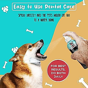 Premium Pet Dental Spray (Large - 8oz): Eliminate Bad Dog Breath & Bad Cat Breath! Fights Plaque, Tartar & Gum Disease Without Brushing! Add to Water! Digestive Aid!