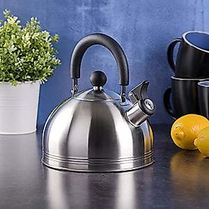 Mr. Coffee Carterton Stainless Steel Whistling Tea Kettle, 1.5-Quart, Mirror Polish