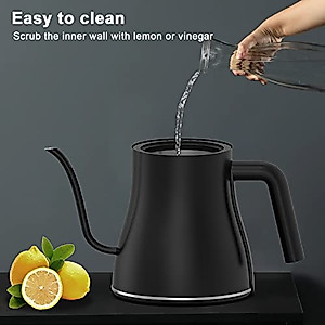 Gooseneck Electric Kettle, WiFi Smart Electric Kettle Temperature Control, Pour Over Kettle and Tea Kettle, TUYA App Control, 1200W Quick Heating, 100% Stainless Steel, 0.8L, Matte Black