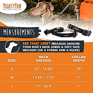 Martingale Collar, Training Dog Collar, Limited Cinch Chain Pet Gear for No Pull Dog Walking