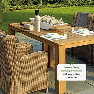 Bayes High Performance Teak Cleaner & Restorer - Cleans, Shines, and Protects - Maintains Fine Teak and Restores Neglected Teak - 16 oz (1-Pack)