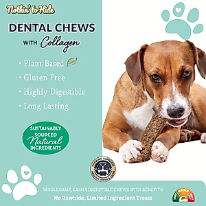 Fieldcrest Farms Nothing to Hide All Natural Rawhide Alternative Dental Bones Dog Chews - & Magnet, Plant Based Wave Treat Chews for Dental Health (Medium)