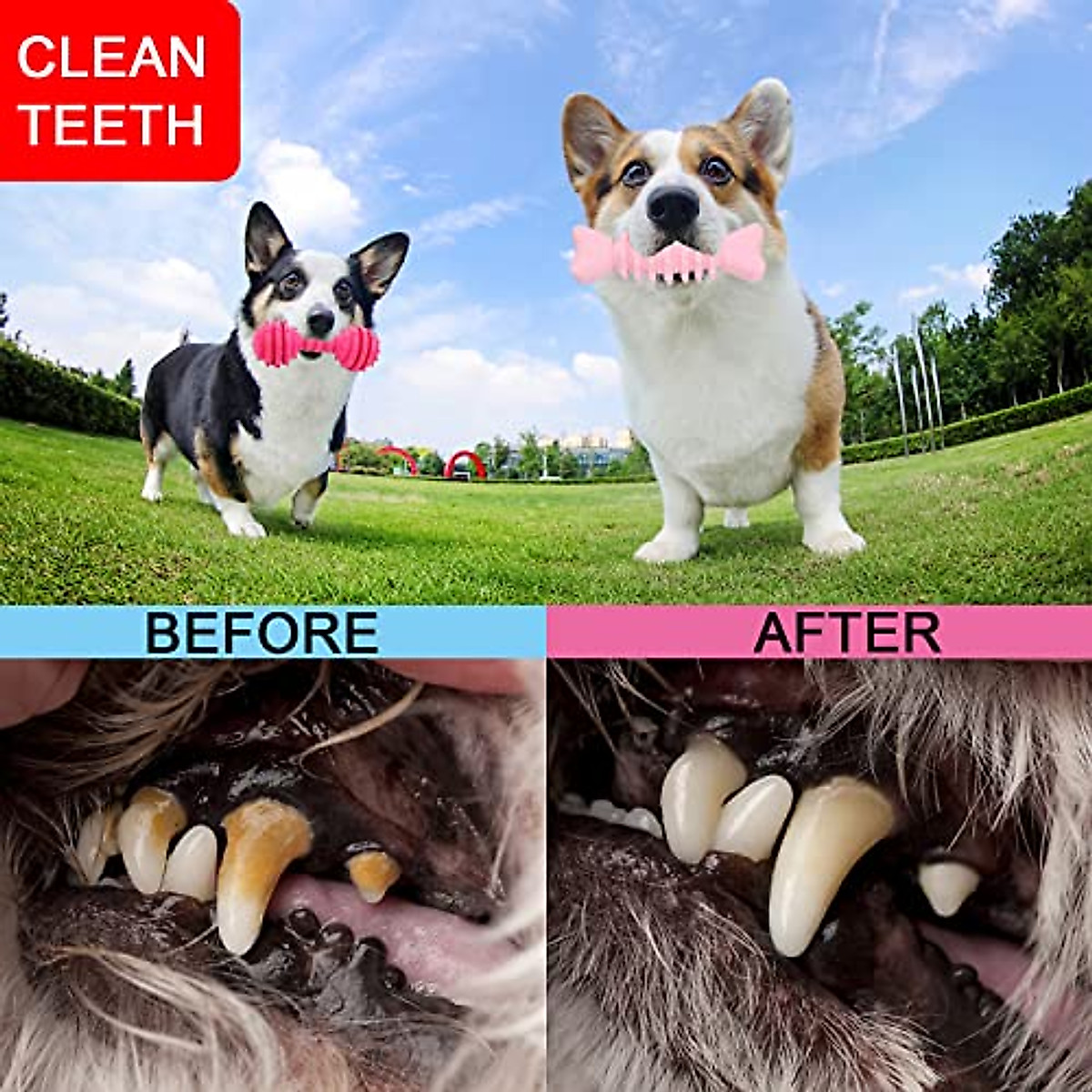 CGBD Puppy Toys, 6 Pack Dog Chew Toys for Puppy Teething Cute Pink Dog Toys for Small Breed Puppies Teething Toys for Cleaning Teeth Outdoor Interactive Toy Soft Durable Puppy Chew Toys for Small Dogs