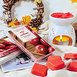 STRN Wax Melts Wax Cubes, Wax Melts Scented, Wax Cubes, Wax Cubes for Wax Warmer, Candle Wax Melts, Scented Wax Melts Apple Cinnamon