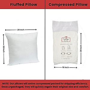 Trendy Home 20x20 Throw Pillow Insert (Set of 4, White) Bed and Couch Pillows Stuffer Hypoallergenic, Decorative Home Indoor Outdoor Sofa Pillow Filler (Non Woven, 4 Pack)