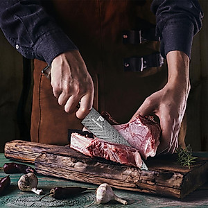 Paul Brown's™ Japanese AUS10 Damascus Steel 8 inch Chef Knife Sapele Wood Handle Arrow Pattern 67 Layers Sharp Kitchen Knife with Pine wood Gift box and Leather Sheath