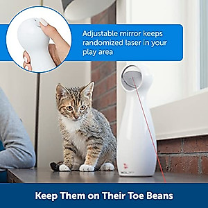 PetSafe Bolt - Automatic Cat Laser Toy - Interactive - Relieves Anxiety & Boredom - Bug-Like Laser Pattern Keeps Them Entertained - Hands-Free Play - Auto Shut Off Prevents Overstimulation White Small