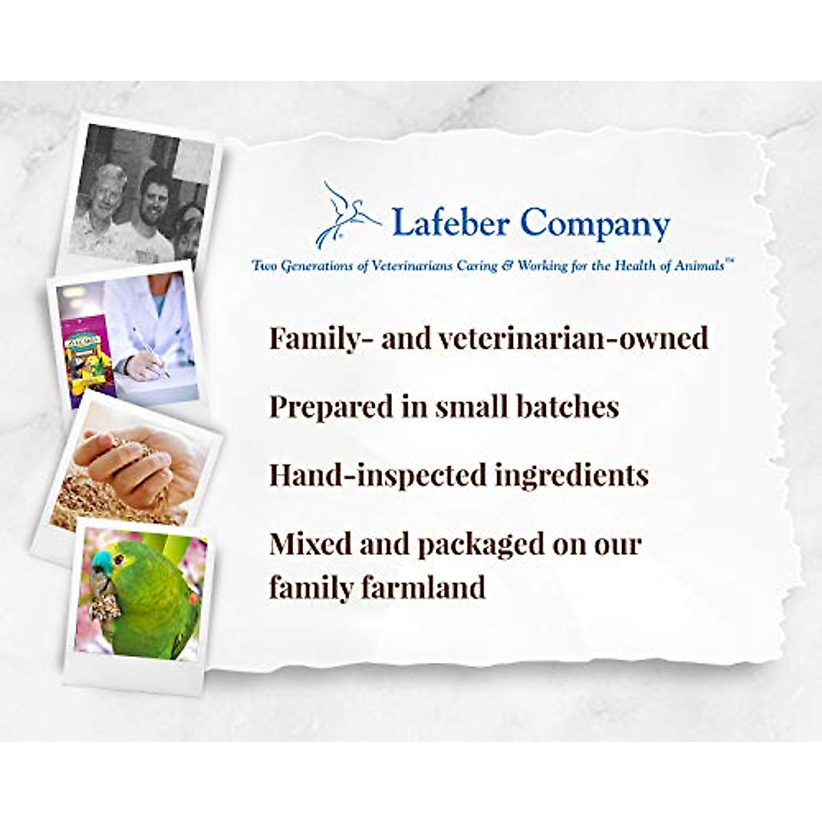 LAFEBER'S Fruit Delight Avi-Cakes Pet Bird Food, Made with Non-GMO and Human-Grade Ingredients, for Parrots (8 oz Pack of 1)