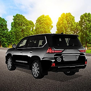 Magnet Me Up: My Dog is Smarter Than The President Pawprint Magnet Decal - 5 Inch, Heavy-Duty Automotive Magnet for Car, Truck, SUV - Express Your Humorous Side with This Pet-Centric Auto Magnet