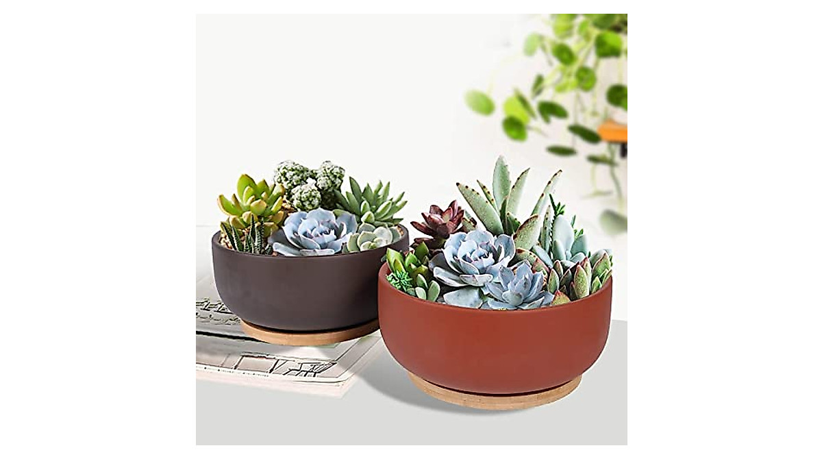 Thirtypot 8" Terracotta Planter for Indoor Plants