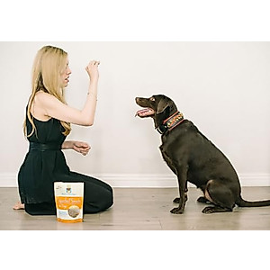 Remy’s Kitchen Sweet Potato Turmeric Freeze Dried Dog Treats USA Sourced and Small Batch Made - Human-Grade, All Natural Superfood Dog Snacks Without Artificial Preservatives, Grain Free - 3.5 oz