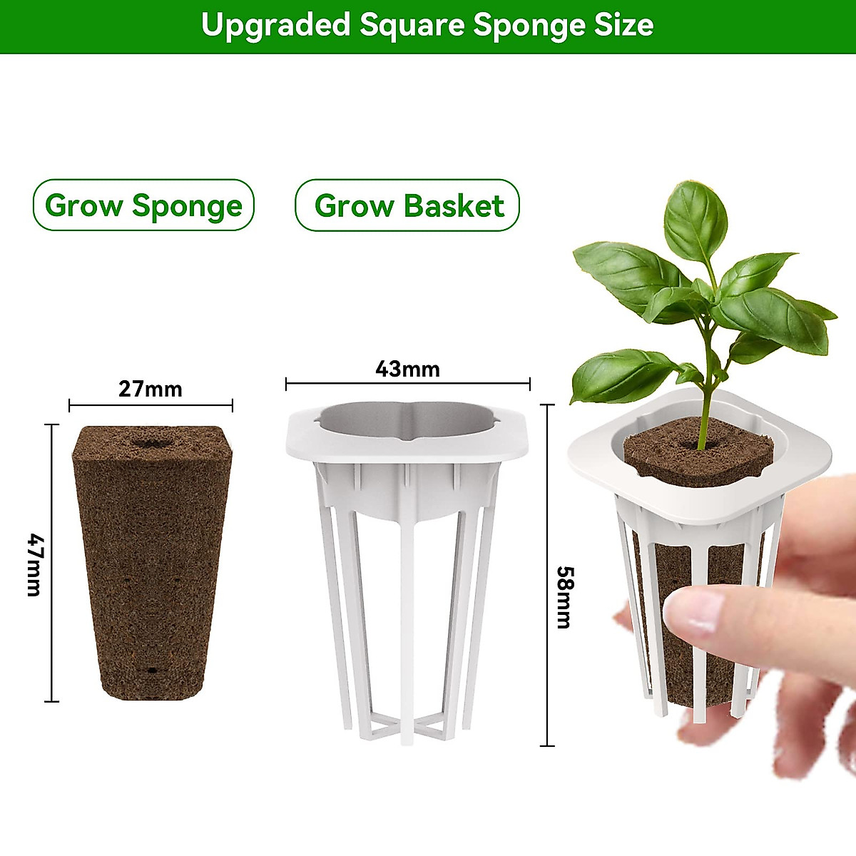 LYKO Basil Cilantro Dill Mint Seed Starter Kit for Hydroponics Growing System, Vegetable Pod Kits for Planting Indoor Garden 500+ Seeds (Basil, Parsley, Oregano, Thyme, Mint, Cilantro & Dill) 7 Pods