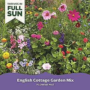 BloomingBulb Seed Mat - Easy to Plant and Grow Garden Seeds - Creates Fragrant, Vibrant Flower Garden – Customizable Flower Beds- English Cottage Garden Mat Green 17''x5''