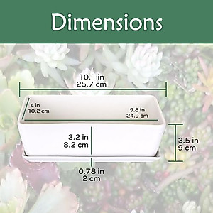 BambooMN Ceramic Succulent Pots - 1 Pot - Short Rectangle - with Ceramic Tray - White - 10.1"