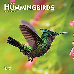 Hummingbirds | 2023 7 x 14 Inch Monthly Mini Wall Calendar | BrownTrout | Animals Wildlife Nature