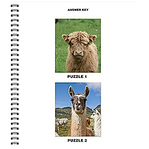 Brain Games - Sticker by Number: Farm Animals (Easy - Square Stickers): Create Beautiful Art With Easy to Use Sticker Fun!