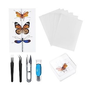 Making Insect Specimen Tools Kit, with Insect Pins,Insect Pinning Board, Wings Pressing Paper,Tweezers, Scissors, Insect Display Case, Insect Collection for Bug Hobbyist/Biology Projects