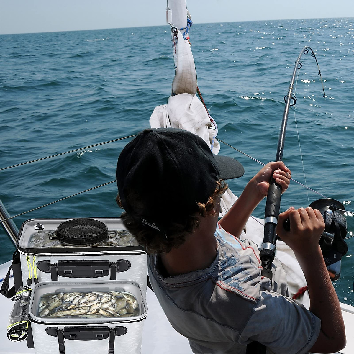 WHCDSTGJ Transparent Lid Fishing Bucket, Portable Foldable Fishing Bucket, Live Bait Bucket with Aeration Hole, for Bait Bucket, Live Fish Bucket, Live Bait Storage.4/6/8 gallons (8 gallons)