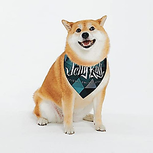 Jelly Rapper Rock Roll Dog Bandanas with Buckle Pet Triangle Scarf Washable Dog Collar Kerchief for Dogs Pet Accessories Double Sided for Puppy Holiday Pet Bandana for Christmas X-Large