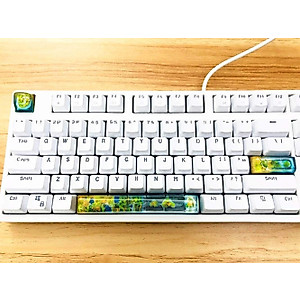 Handmade SA Profile 6.25u Spacebar Backlit Resin Keycap 2.25x Enter R1/ESC Translucent Keyset Hawaii Beach Switch for Cherry RGB MX Mechanical Gaming Keyboards (6.25u Spacebar(1 pcs))