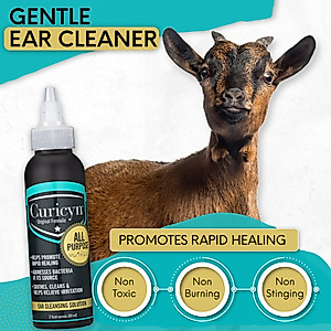Curicyn Dog Ear Infection Treatment (3oz) - Dog Ear Cleaner - Dog Ear Cleaning Solution - Cat Ear Cleaner - Ear Drops for Kittens, Dogs & More