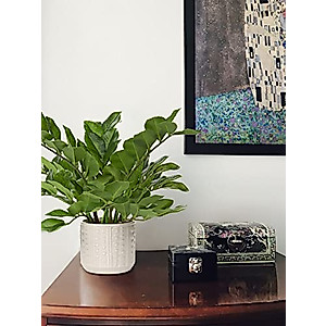 Briful Faux Plants Indoor 17" Artificial ZZ Plants in Ceramic Pot Fake Potted Zamioculcas Silk Plants for Home Living Room Office Decor Bedroom Aesthetic