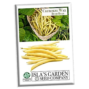 Cherokee Wax Bush Bean Seeds for Planting, 50+ Heirloom Seeds Per Packet, (Isla's Garden Seeds), Non GMO Seeds, Botanical Name: Phaseolus vulgaris, Great Home Garden Gift