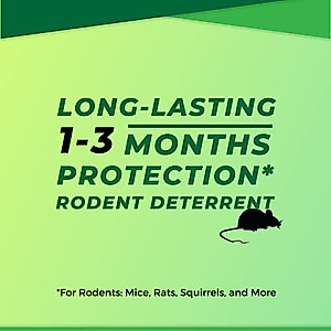 Cadorabo Mice Repellent for House, Peppermint Oil to Repel Mice and Rats, Squirrel Repellent Rodent Deterrent for Indoor Attic RV Garage Basement 10 Mouse Repellent Pouches