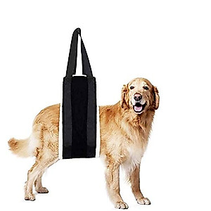 HNYG 30-120 lbs Large Dog Sling for Rear Legs Helps Elderly Dogs with Reduced Mobility, Dog Support K9 Dog Lift Harness, Dog Lifter for Arthritis ACL Rehabilitation Rehab, 7" x 51"