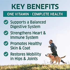 Dog Multivitamin - Dog Vitamins and Supplements - Digestive Enzymes & Probiotics - Probiotics for Dogs - for Skin and Coat Allergies - Immune System & Overall Health - 120 Soft Chew Dog Treats