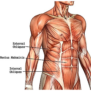 24Seven Wellness & Living The Ultimate Core and Lower Back Relief Program DVD Pilates Based Abdominal Exercises Developed to Provide Lower Back Pain Relief Through Strong and Powerful Abs.