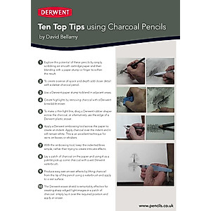 Derwent Charcoal Collection, Pack, 10 Count (2300675)