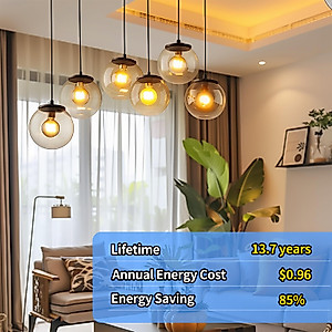 VOLIVO 24 Pack Vintage LED Bulbs, A19 Dimmable LED Light Bulb, 2700K Warm White, 60W Equivalent, CRI 80+, Clear Glass Filament Bulbs, 7W, E26 Standard Base, Classic Edison Antique Style Bulbs for Home