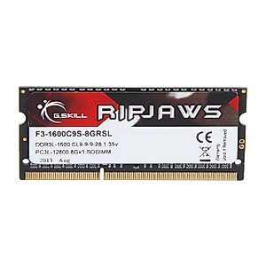 G.Skill Ripjaws Series 8GB 204-Pin DDR3 SO-DIMM DDR3 1600 (PC3 12800) Laptop Memory (F3-1600C9S-8GRSL)