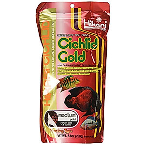 Hikari (3 Pack) 8.8-Ounce Cichlid Gold Floating Pellets for Pets, Medium