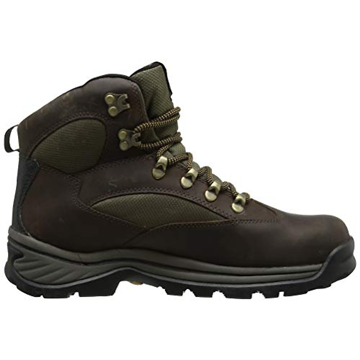 Timberland Men's Chocorua Trail Mid Waterproof Snow Shoe, Brown/Green, 10 D - Medium