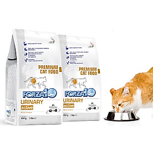 Forza10 Active Dry Cat Food Urinary Tract Health, Fish Flavor Urinary Tract Cat Food, Adult Cats Urinary Cat Food, 2 Pound Bag Urinary Tract Cat Food Dry