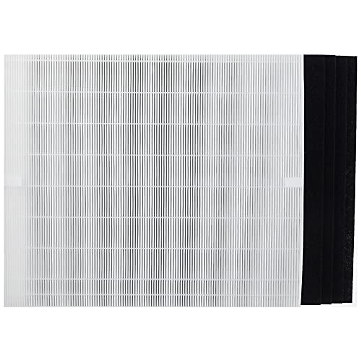Genuine Winix 113250 Replacement Filter E for P450, White/Black