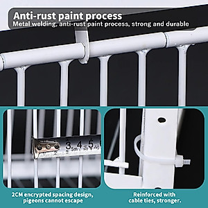 TRAGLO Chicken and Bird Trap Cage, Humane Live Animal Trap Cage with One-Way Entry Door, Metal Control Pigeon Trap with Escape-Proof Design 2CM Encryption Spacing, Easy Assembly (Size : 100x60x26cm)