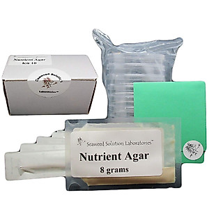 Nutrient Agar Kit, Includes Nutrient Agar Dehydrated, 10 Sterile Petri Dishes with Lids & 10 Sterile Cotton Swabs