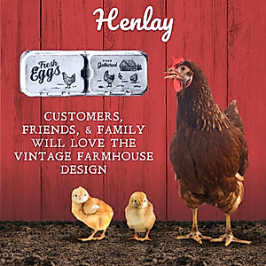 Half Dozen Empty Egg Cartons- Bulk 50 Full Dozen Can Split to 100 Half Dozen Size- Securely Holds 6 or 12 Extra Large Eggs