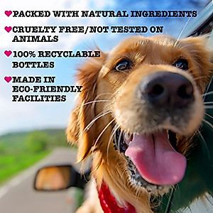 PET HEAD Life's An Itch Soothing Shampoo