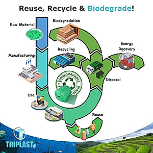Triplast BIODEGRADABLE Green Bubble Wrap Roll (400mm x 50m) | Small Air Bubble Cushioning Bubble Wrap for Moving House, Fragile Item Packaging and Protective Wrapping for Shipping & Storage